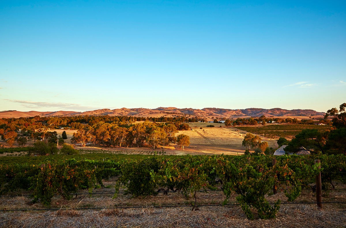 Changes in delivery and order dates during Easter – Viinitie Oy