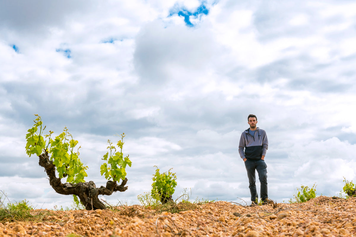 Alvar de Dios – Viinitie Oy