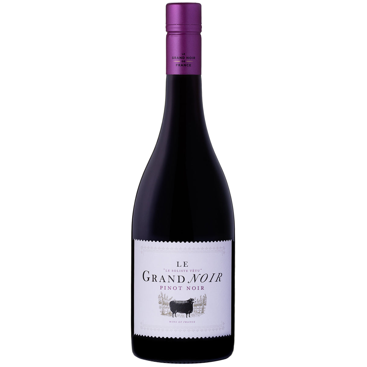 Pinot Noir – Viinitie Oy